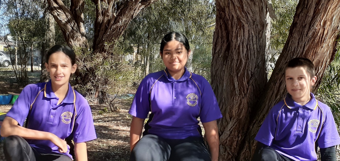 About Us - Warnbro Primary School