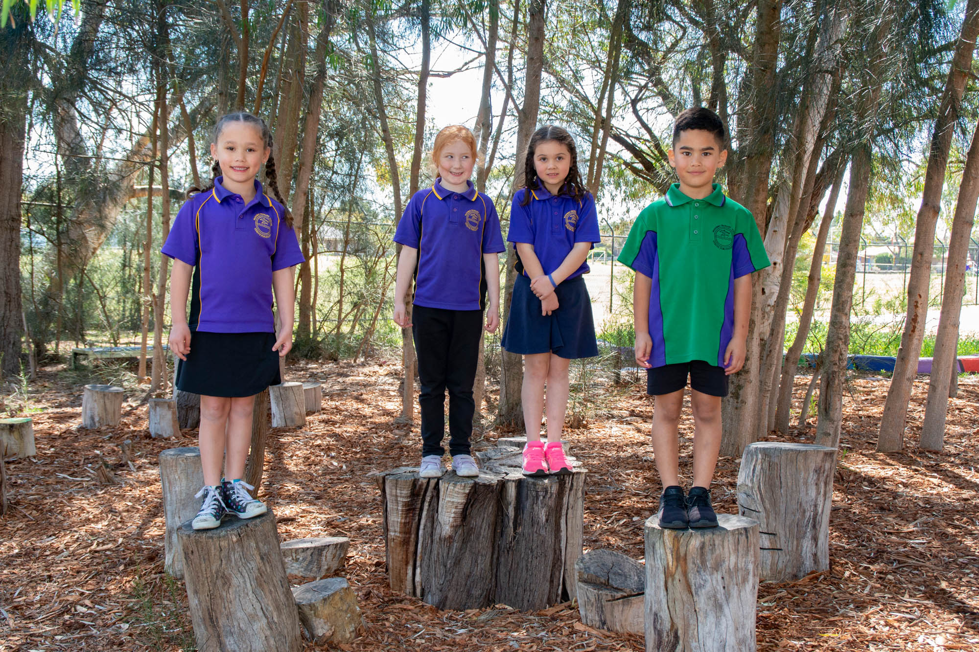 School Board - Warnbro Primary School
